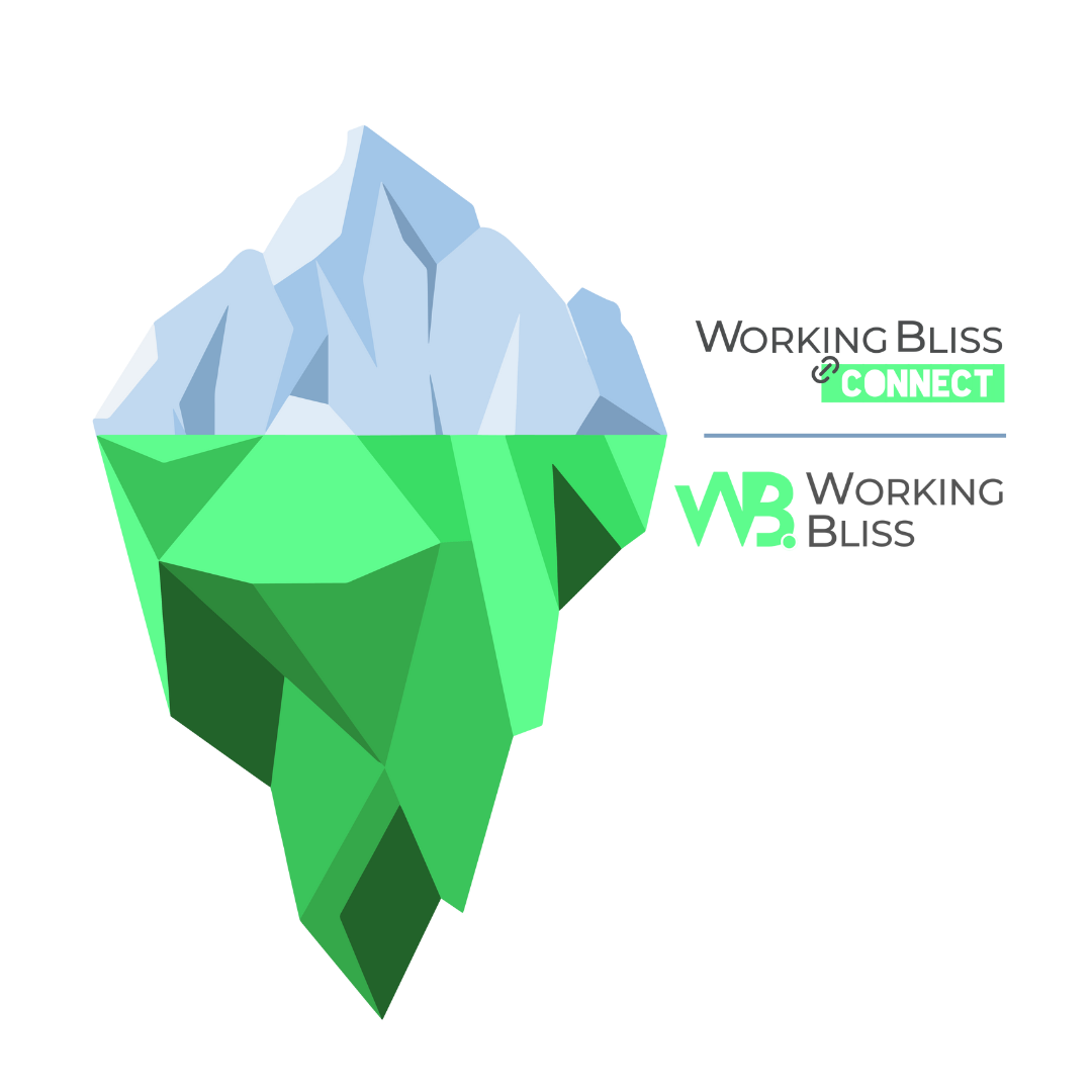 Linkedin – Working Bliss